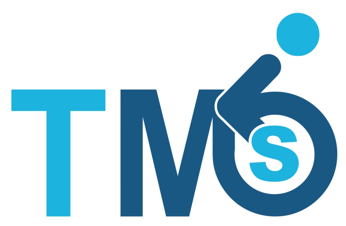 The Mobility Services